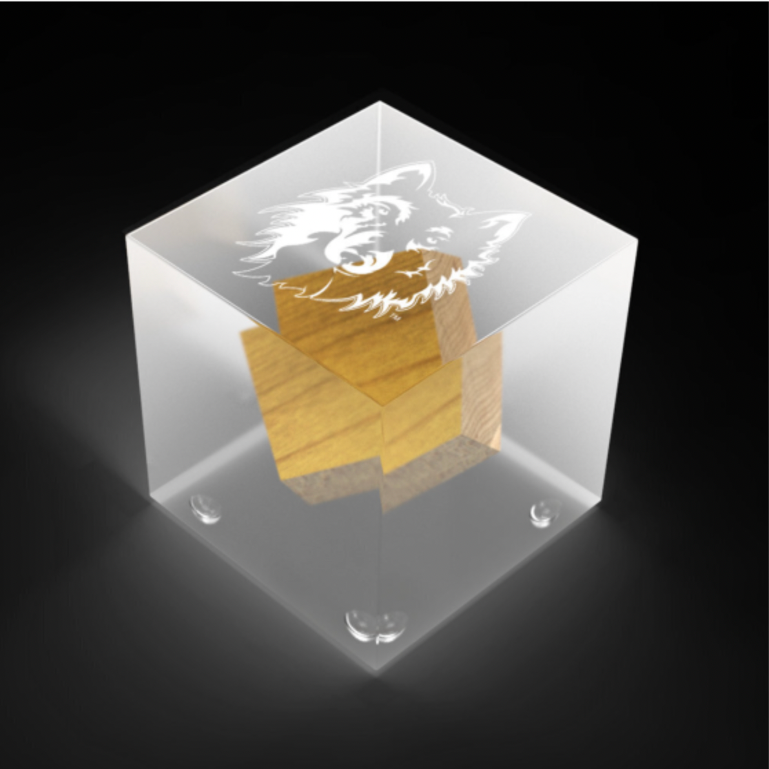 Northern State Wolves Wachs Arena Collectible Cube – Artsman